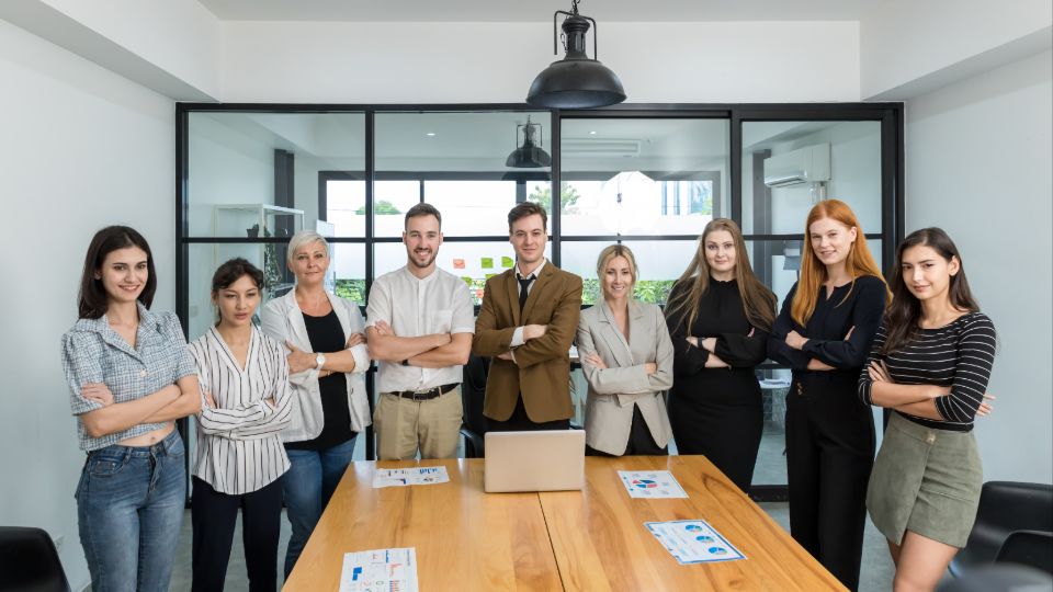 What Are Team Project Solutions?